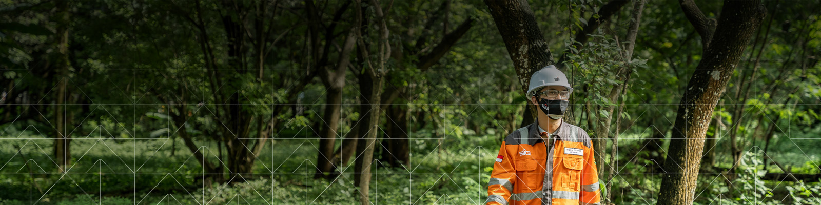 Vision Mission - SIG